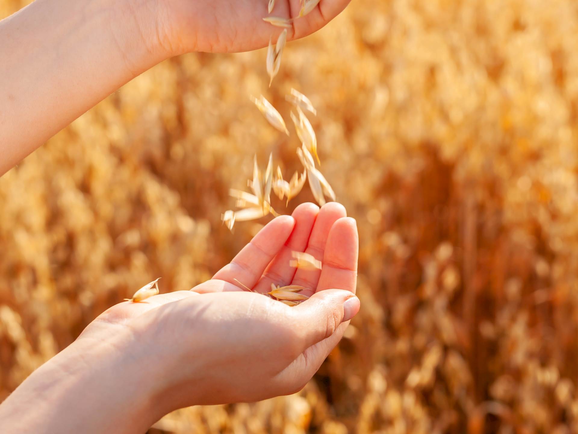 PrOatein - havreprotein